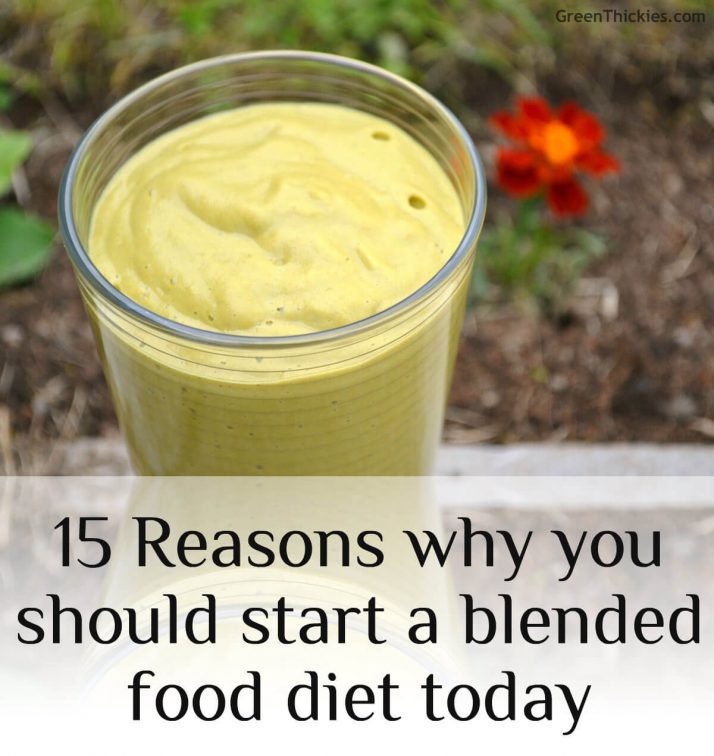 15 Reasons why you should start a blended food diet today