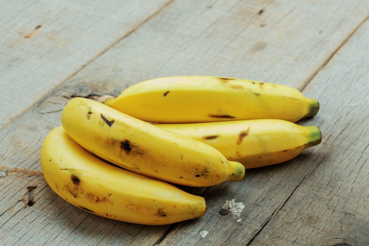 Guide To Bananas: Facts, Benefits, Tutorials, Recipes & Videos
