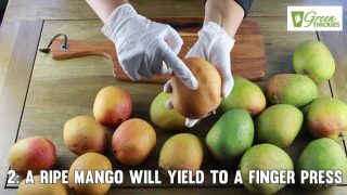 When Is A Mango Ripe? - 6 Easy Signs